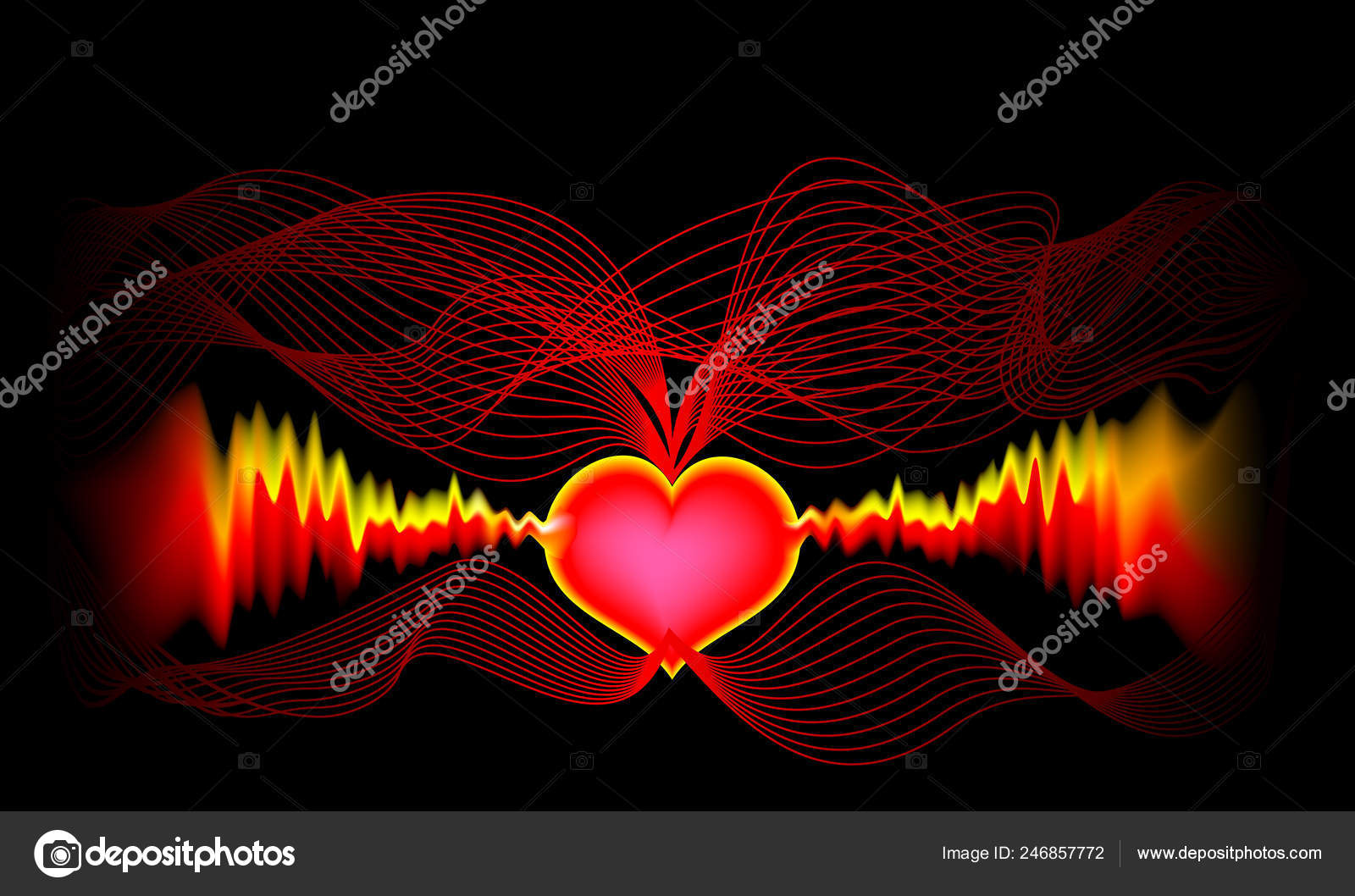 Electrocardiography Grid Recording Studying Electric Fields Generated ...