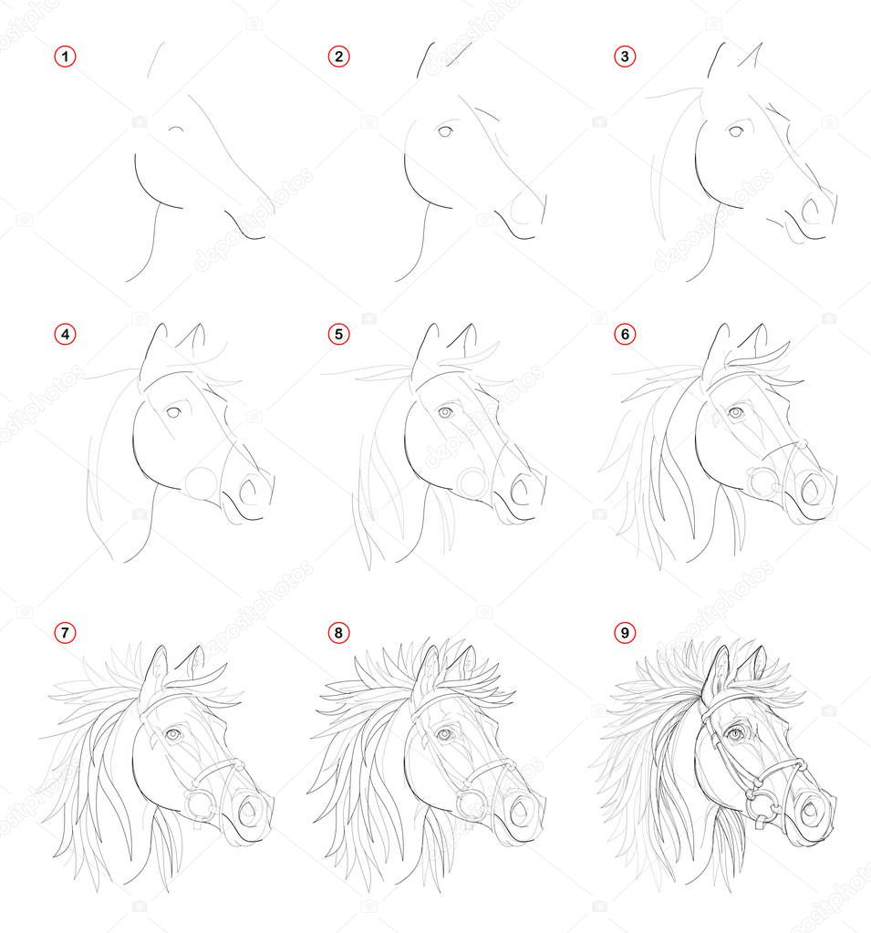Dibujos De Caballos Paso A Paso Dibujos De Caballos Vintage, Juego De