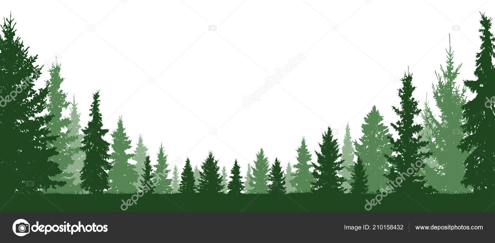 Forest Evergreen Coniferous Trees Silhouette Vector Background Isolated ... Forest Evergreen Coniferous Trees Silhouette Vector Background Isolated ...