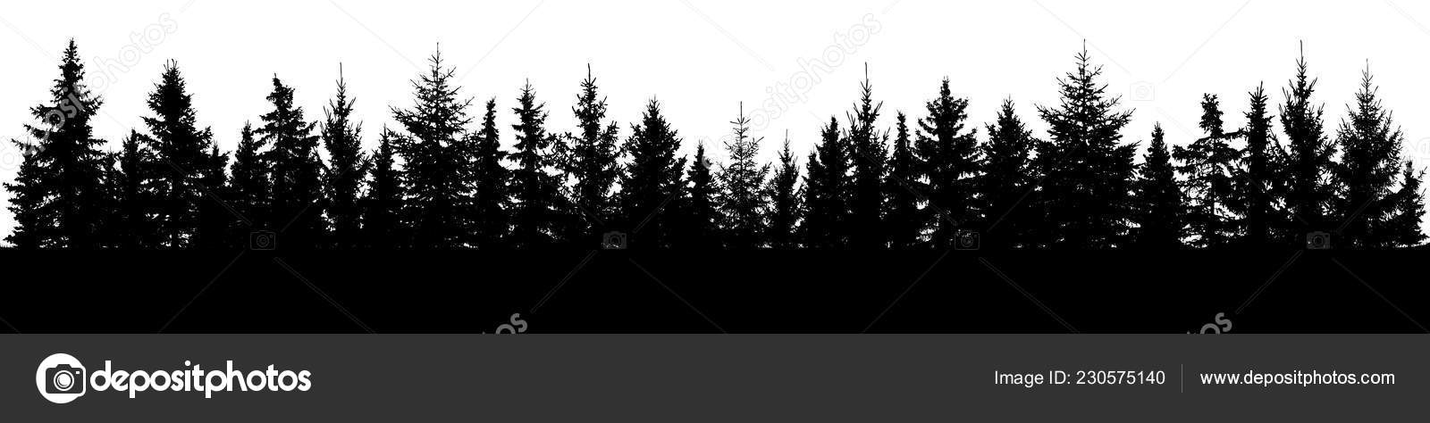 Spruce Tree Silhouette