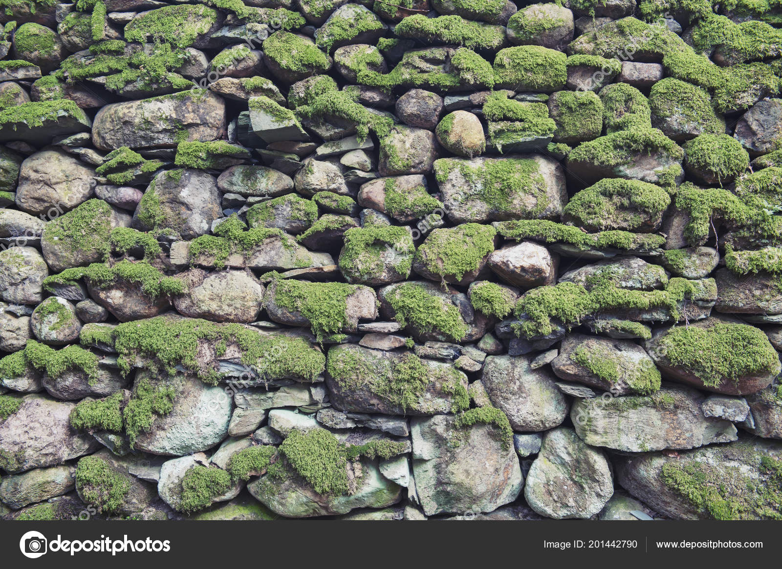 Mossy Stone Texture