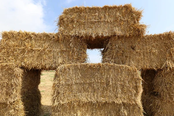 Straw fort Stock Photos, Royalty Free Straw fort Images | Depositphotos