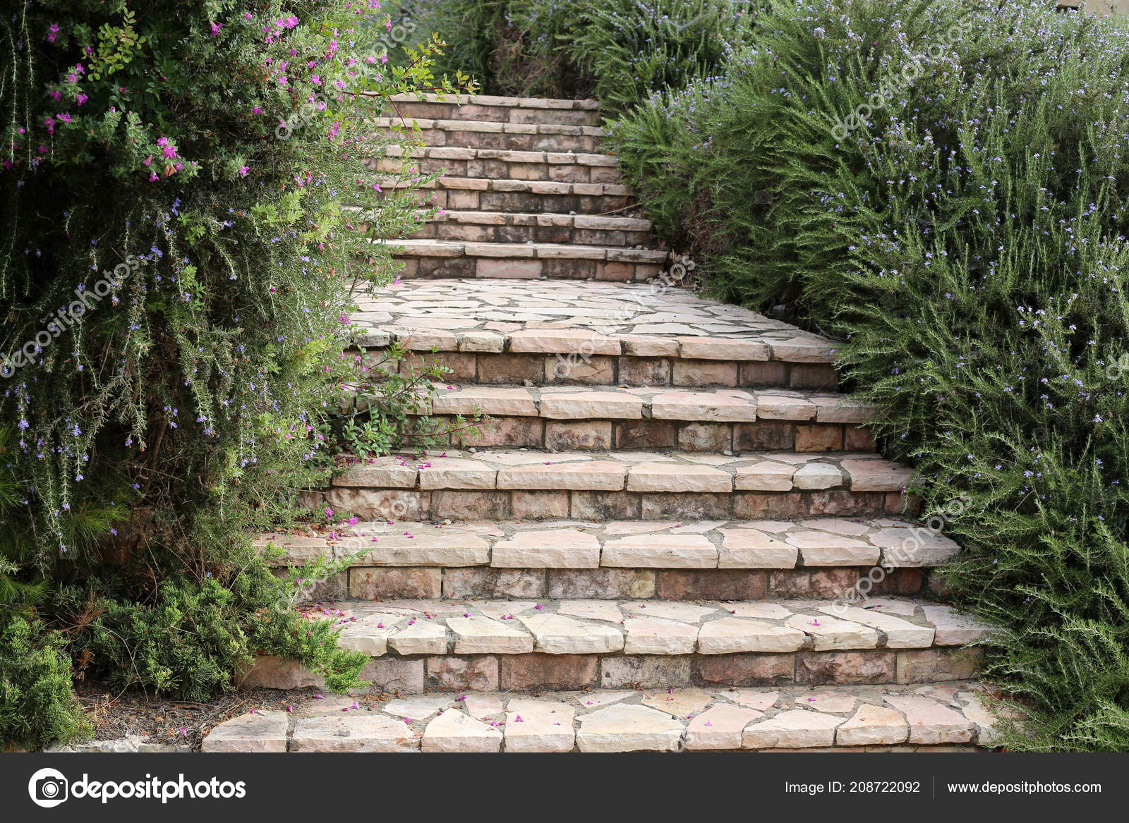 Ladder Functional Structural Element Structure Providing Vertical ...