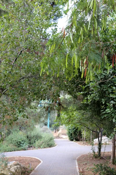 Garvel pathway Stock Photos, Royalty Free Garvel pathway Images ...