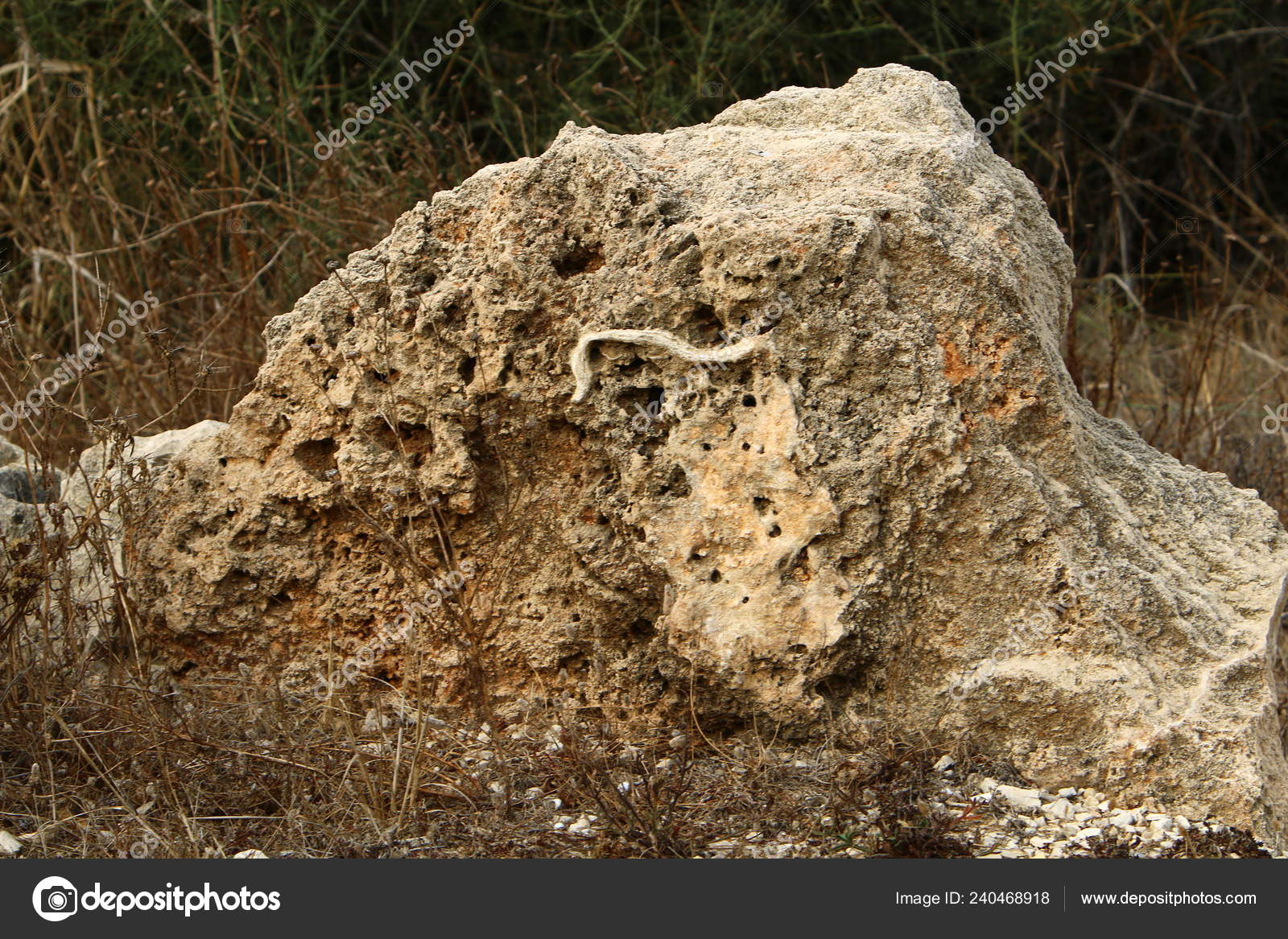 Stone Texture Nature Structure Solid Substance Location Its Parts ...