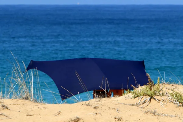 Fotos de Stranden vindskydd, Imagens de Stranden vindskydd sem ...