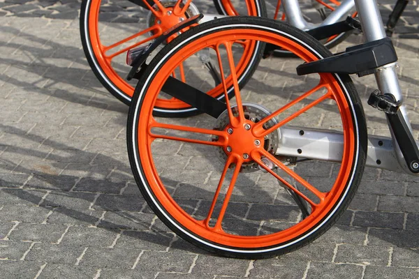 Holanda bike Stock Photos, Royalty Free Holanda bike Images | Depositphotos