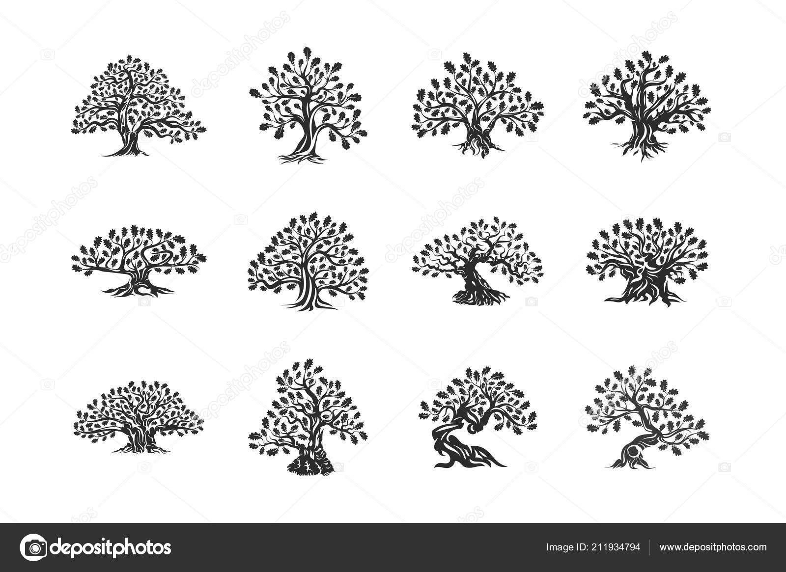 Oak Tree Line Silhouette
