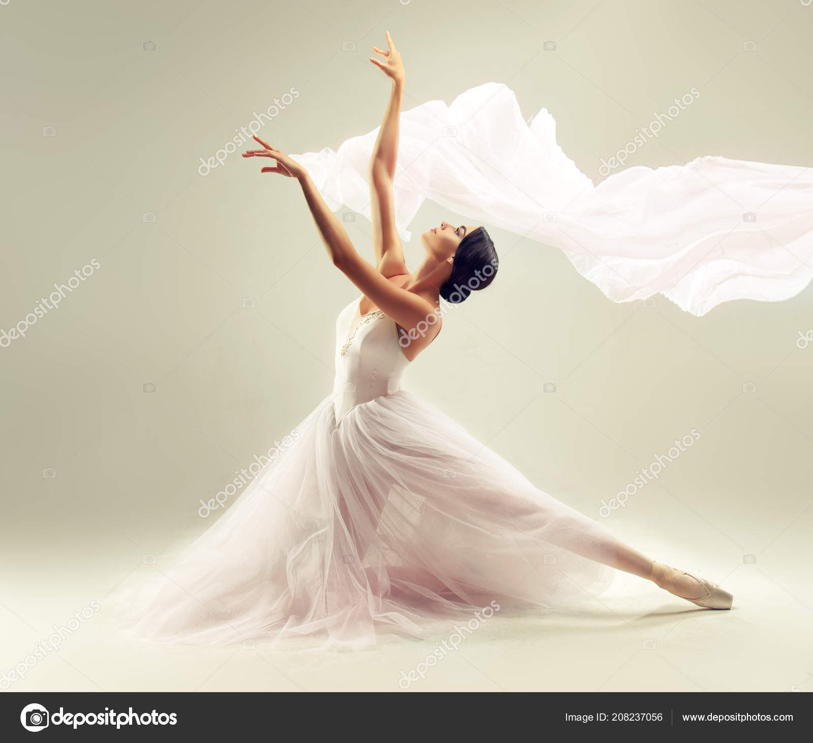 Ballerina Young Graceful Woman Ballet Dancer Dressed Professional