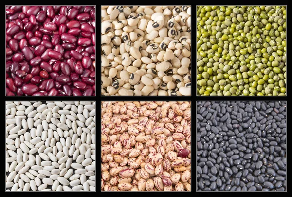 Variety of beans - Black eye bean, Pinto, red, Mung, white, black ...