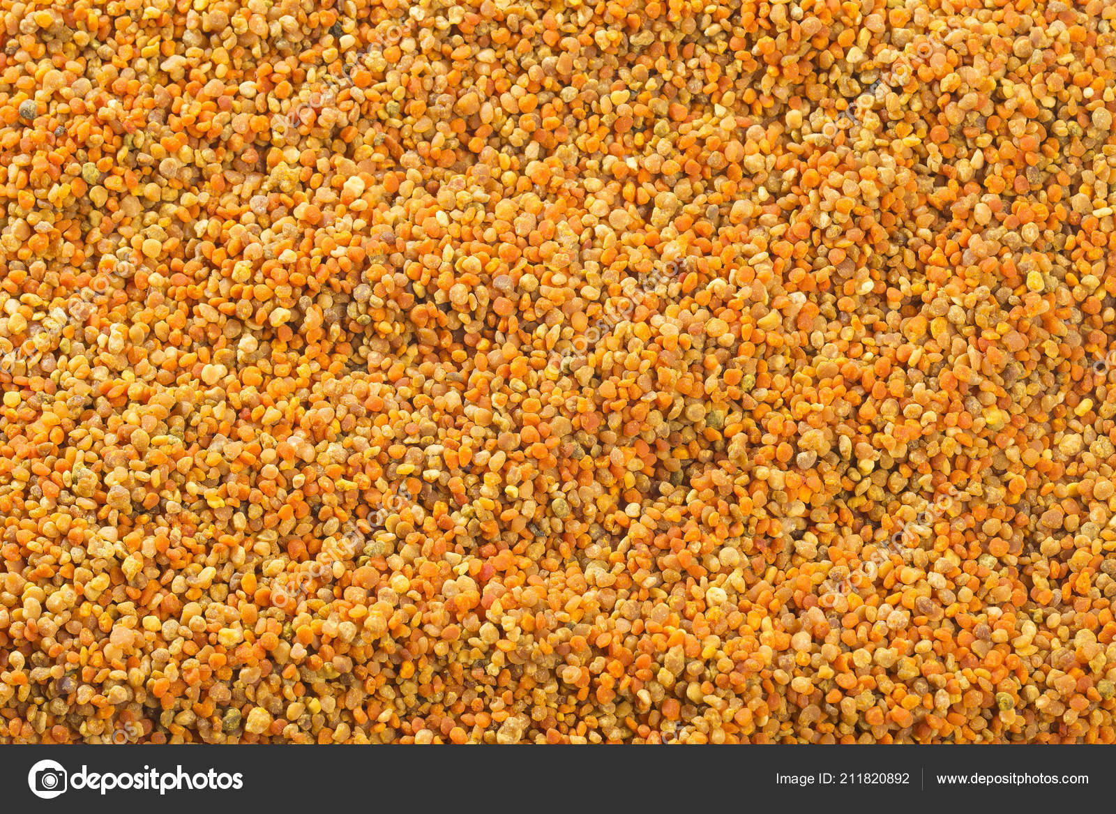 Bee Pollen Grains Top View Stock Photo by ©Luisecheverriurrea 211820892