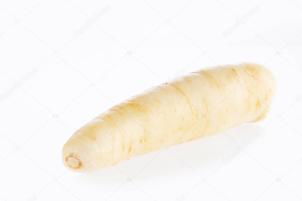 Arracacha - Arracacia xanthorrhiza - arracache, criollo de apio ...