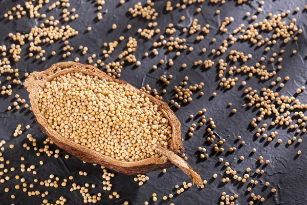 Sinapis alba - Organic mustard seeds Stock Photo by ©Luisecheverriurrea ...