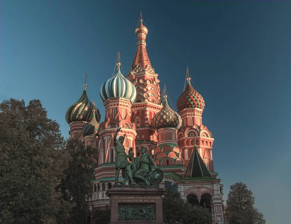 Bazil Stock Photos, Royalty Free Bazil Images | Depositphotos