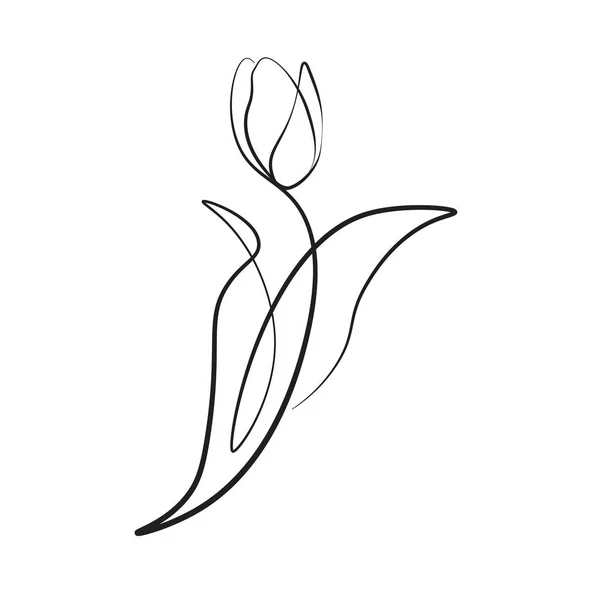146 Tulip one line drawing Vector Images | Depositphotos