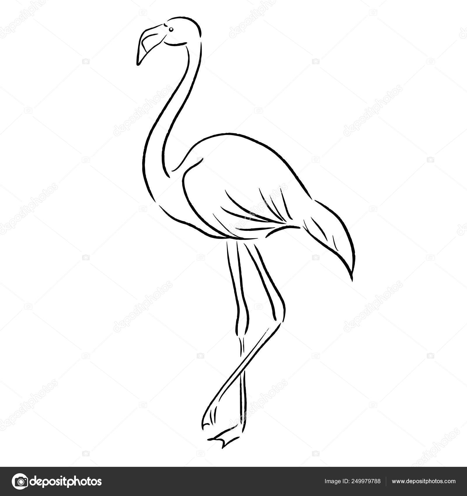 Flamingo Outline
