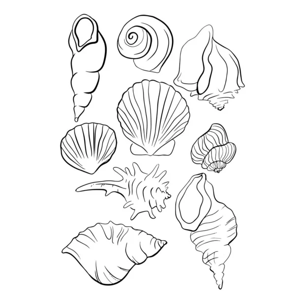 27,937,378 Shell cartoon Vector Images | Depositphotos