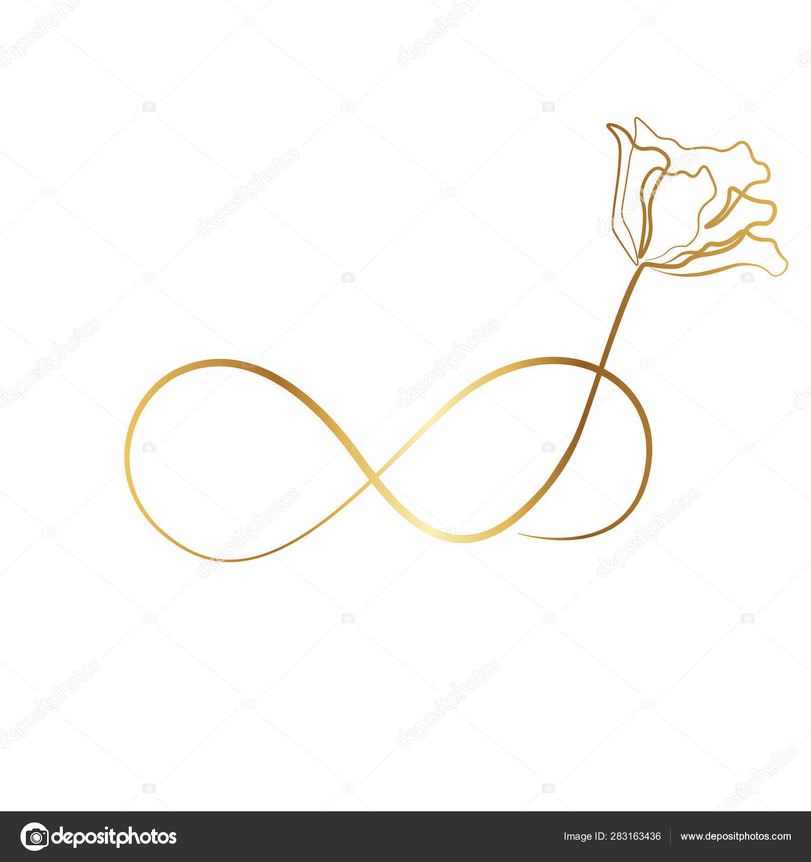 Elegant Infinity Sign Vector Illustration Stock Vector Image by ...