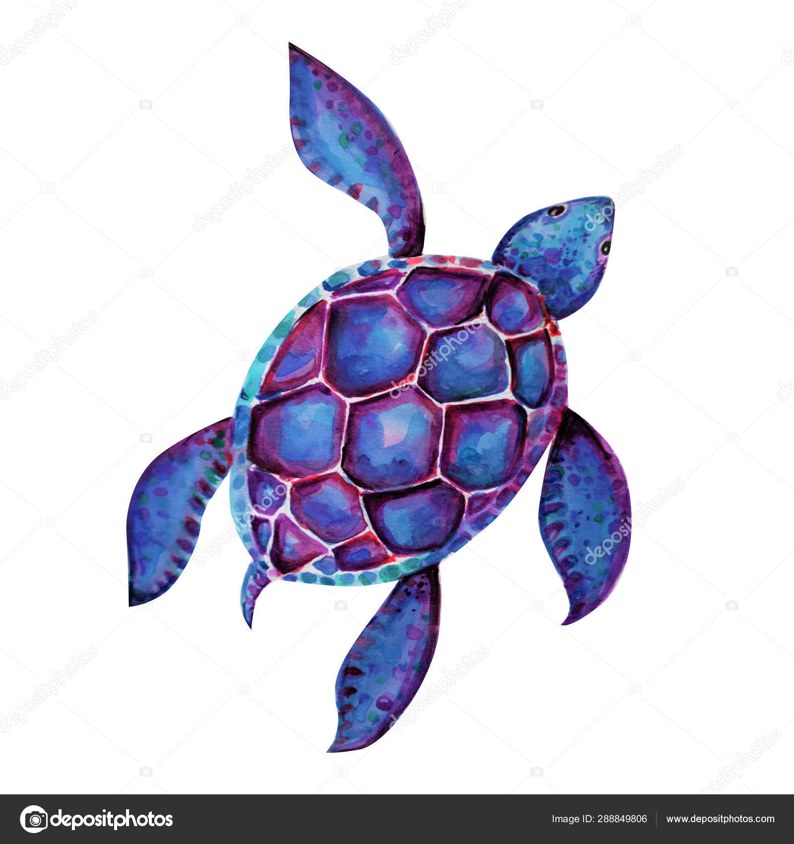 Beautiful Turtle Art Water Color Background Illustration Stock ...