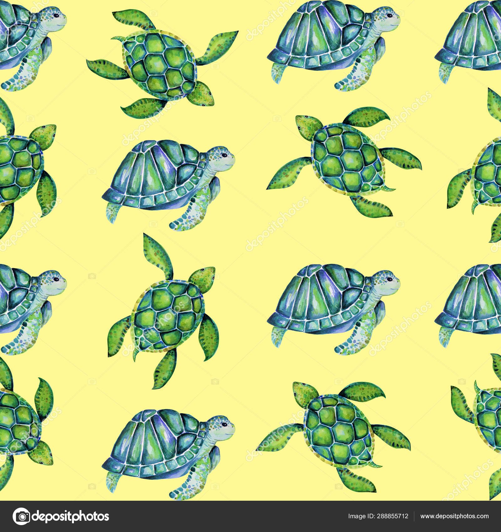 Beautiful Turtle Art Water Color Background Illustration Stock ...