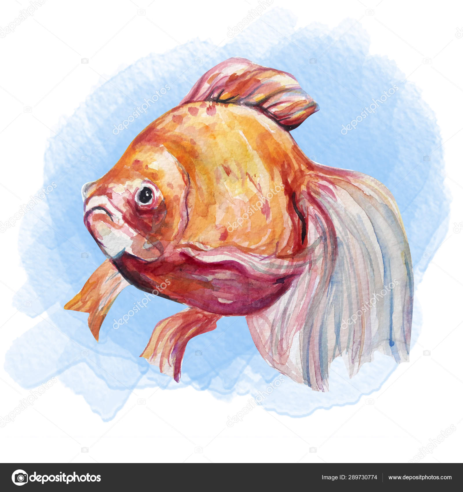 Colorful Fish Painting