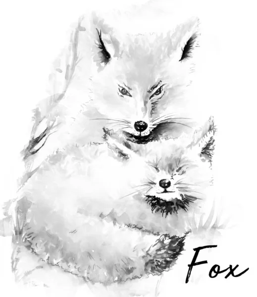 Róka rajz Stock fotók, Róka rajz Jogdíjmentes képek - Page 3 ...