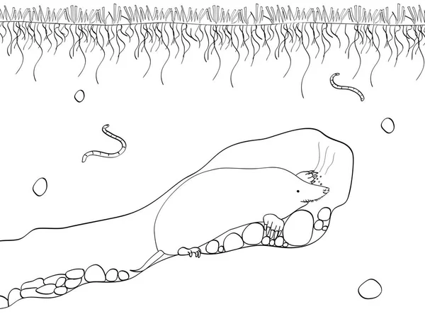 Página Para Colorear Del Contorno De La Tierra