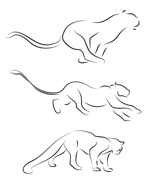 Running Black Line Horse White Background Vector Graphic Stock Vector ...