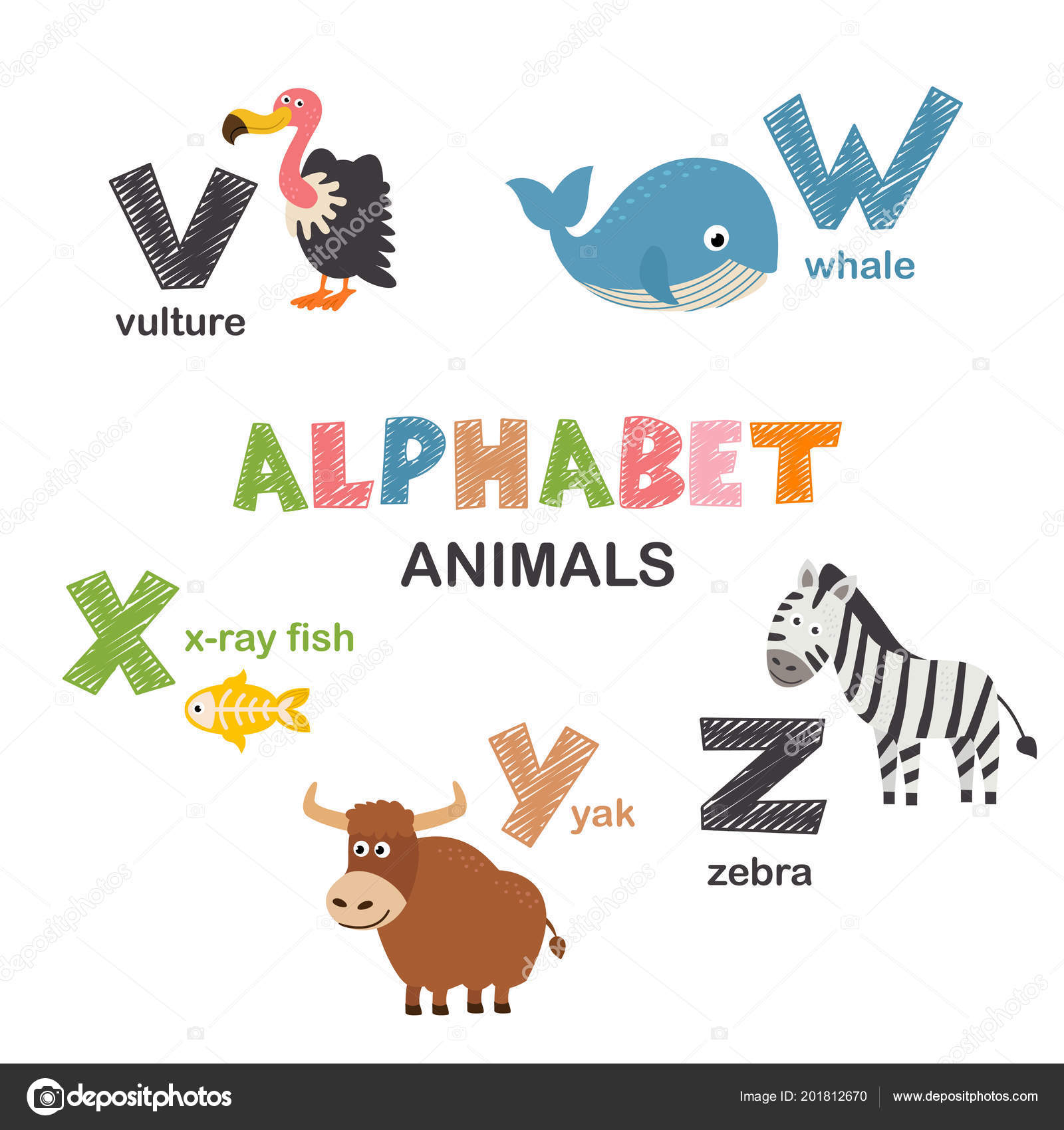 Alfabet Dengan Hewan Sampai Ilustrasi Vektor Eps Vektor Stok oleh ...