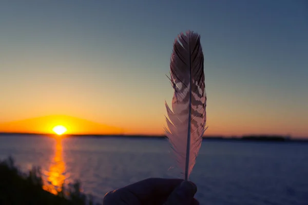 17 Fethers Stock Photos, Images | Download Fethers Pictures on ...