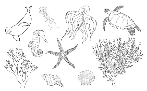 Line art vector underwater set with starfish, shells and coral reef ...