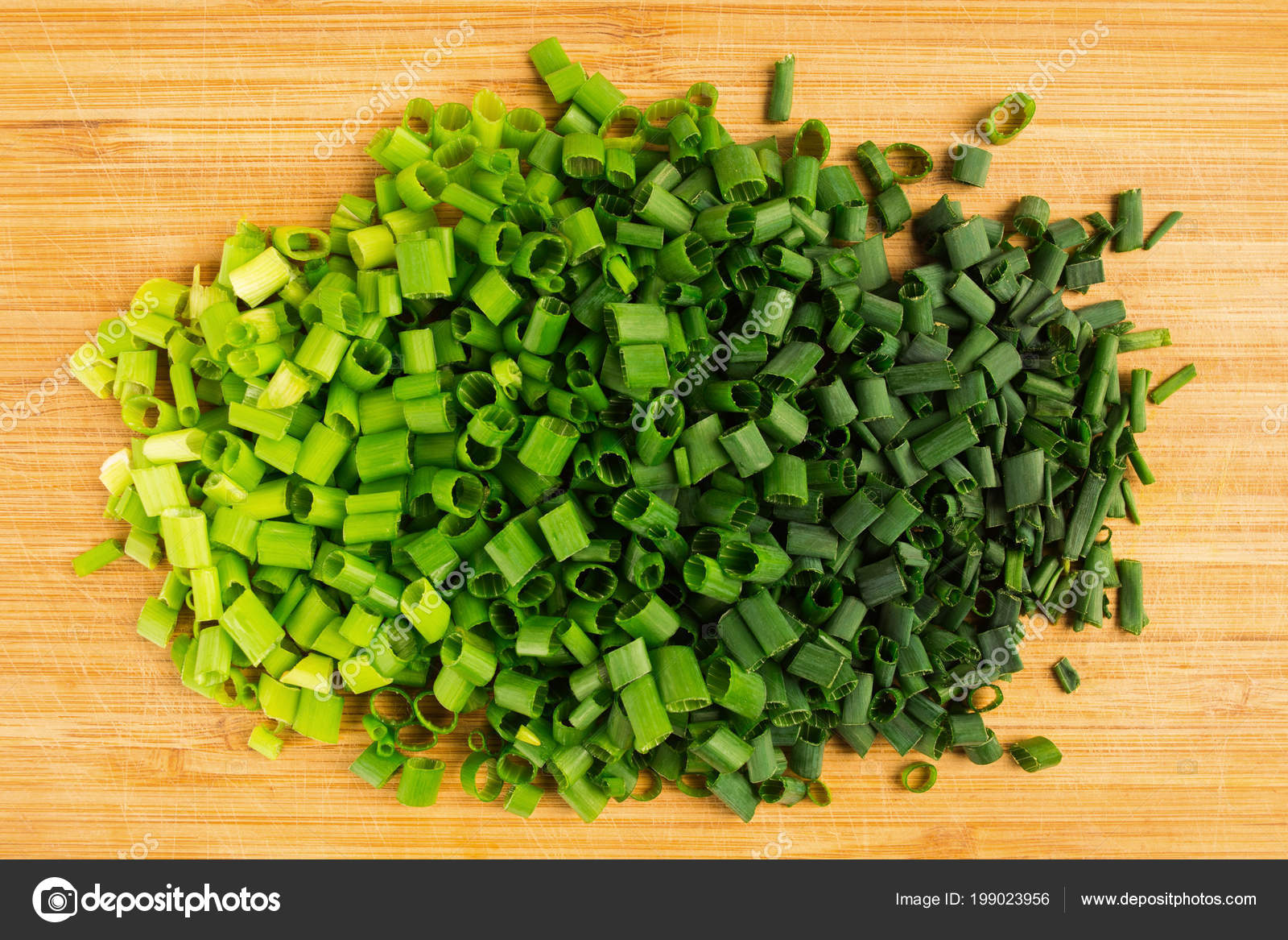 Chopped Spring Onion Wooden Board Green Color Gradation Overhead View ...