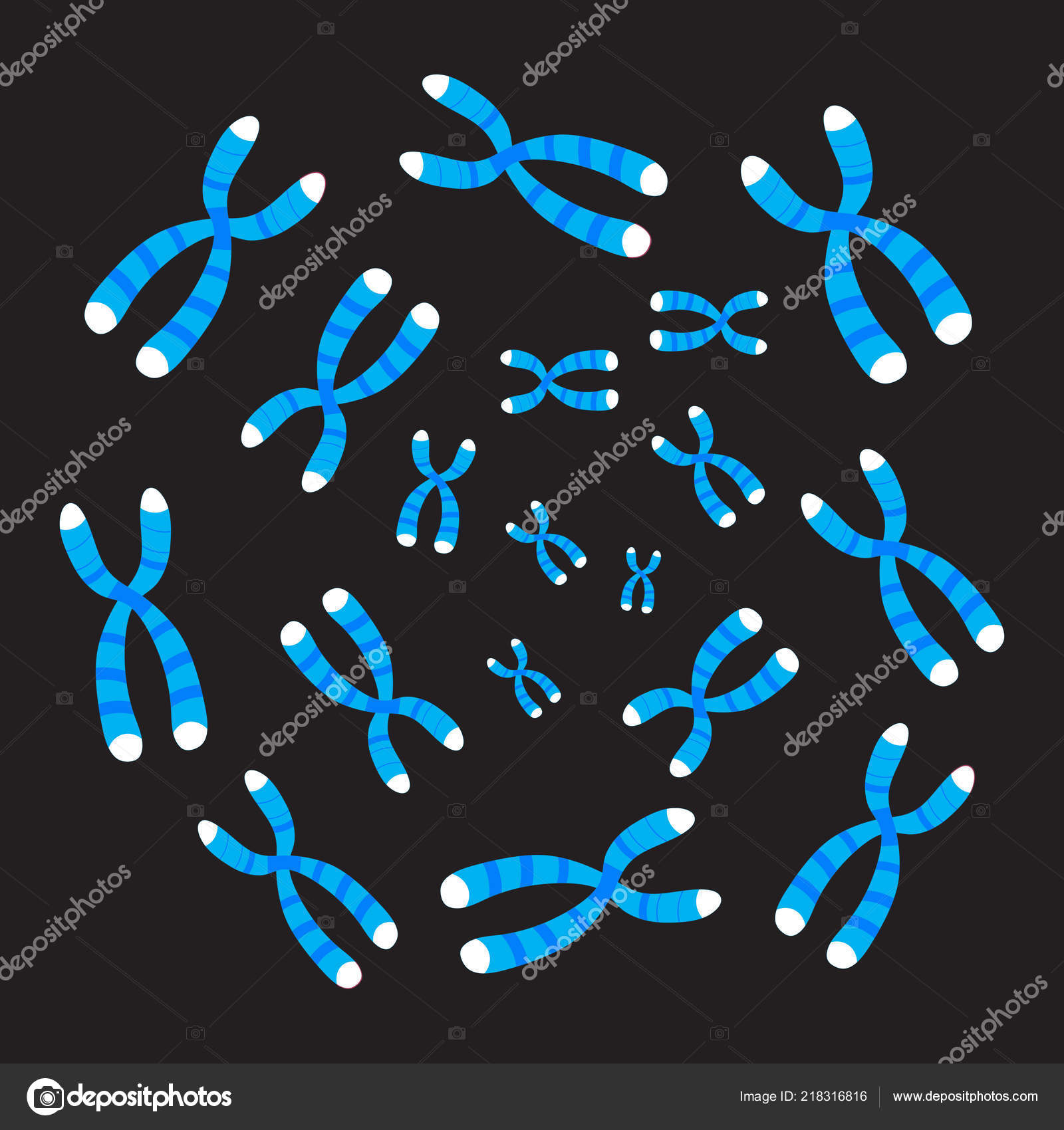 Cromosomas sobre fondo negro Vector de stock #218316816 de ©fancy.tapis ...