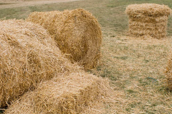 Hay rolls Stock Photos, Royalty Free Hay rolls Images | Depositphotos