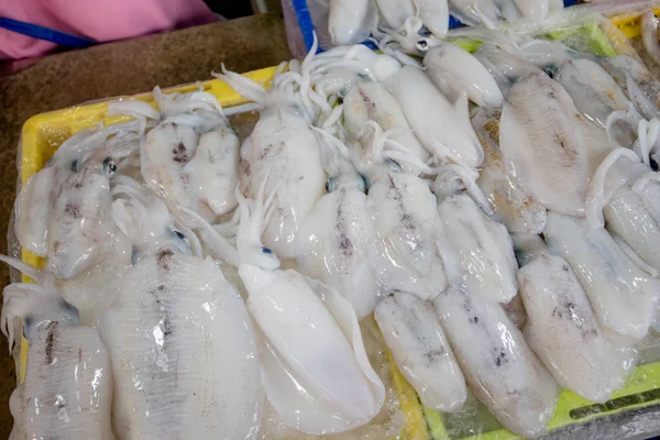 Squid dry Stock Photos, Royalty Free Squid dry Images | Depositphotos