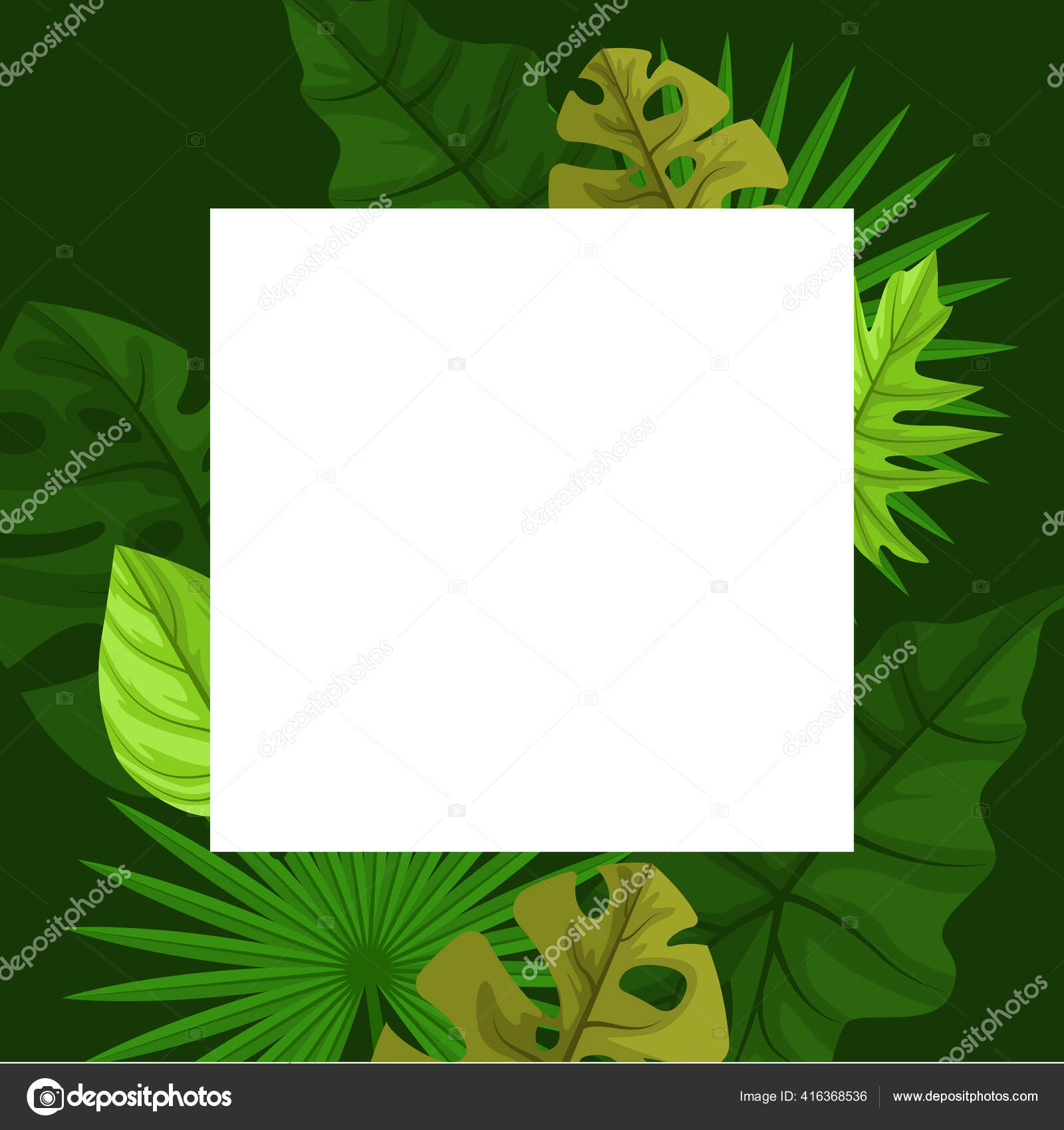 Square Green Tropical Plant Summer Leaf Border Frame Background Stock ...