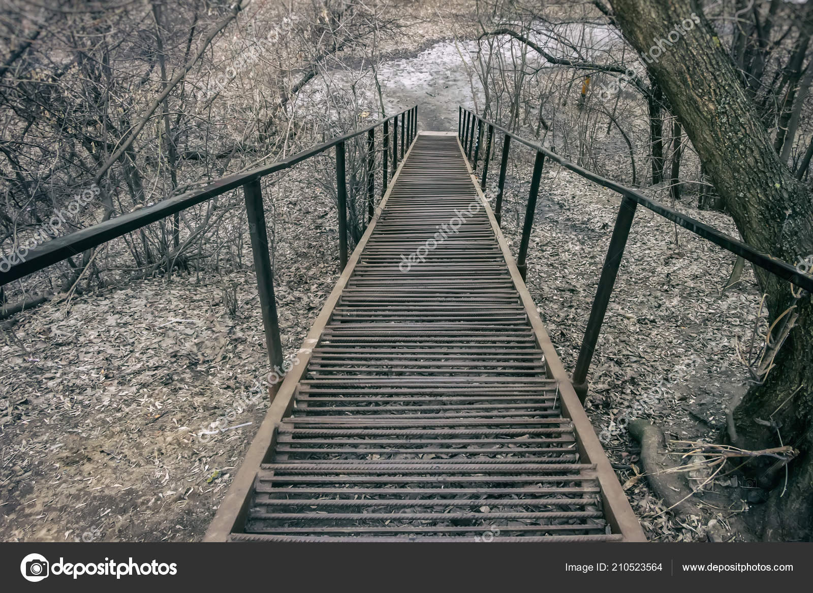 Long metal ladder, steps in the park with fallen brown leaves away ...