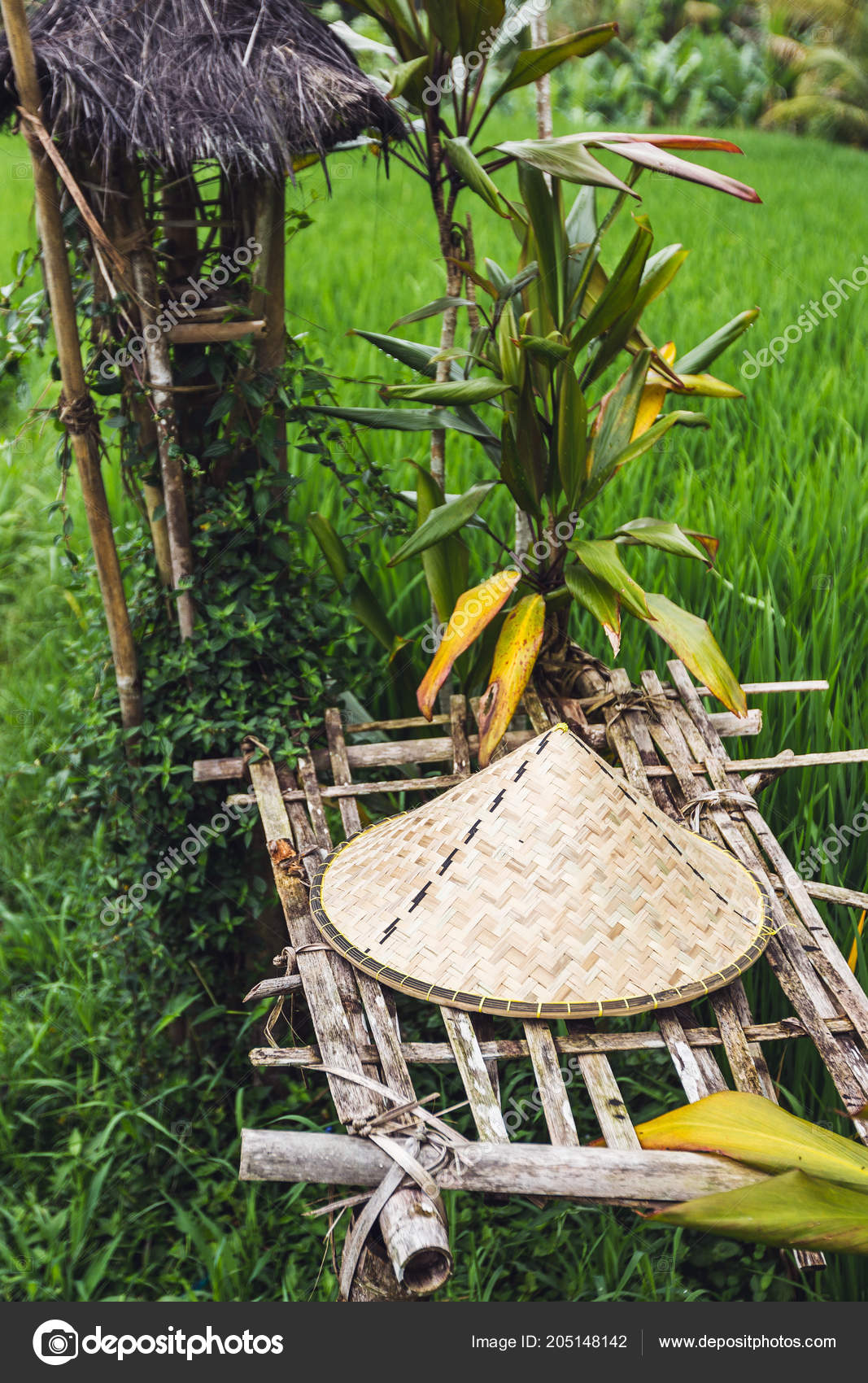 Balinese Traditional Straw Hat Bench Rice Field Stock Photo by ...