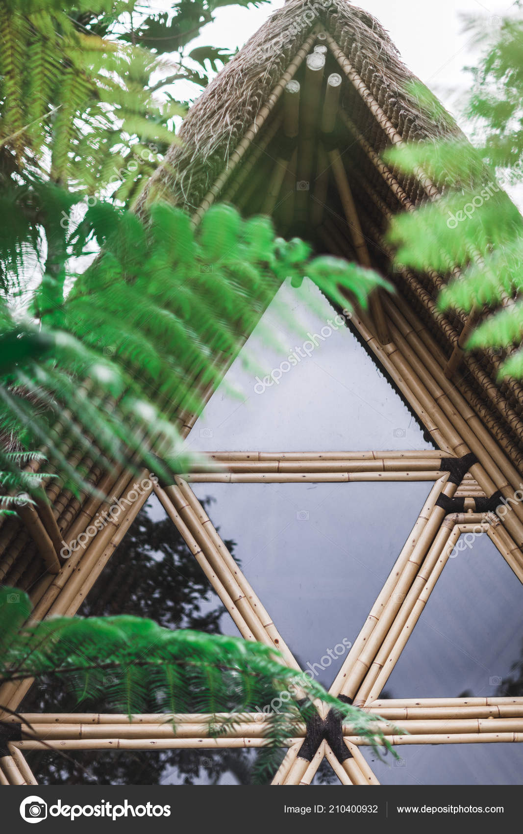 Triangle House Windows