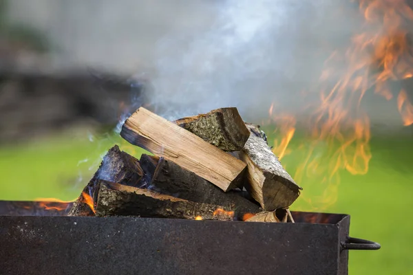 Brightly burning in metal box logs firewood for barbecue outdoor on ...