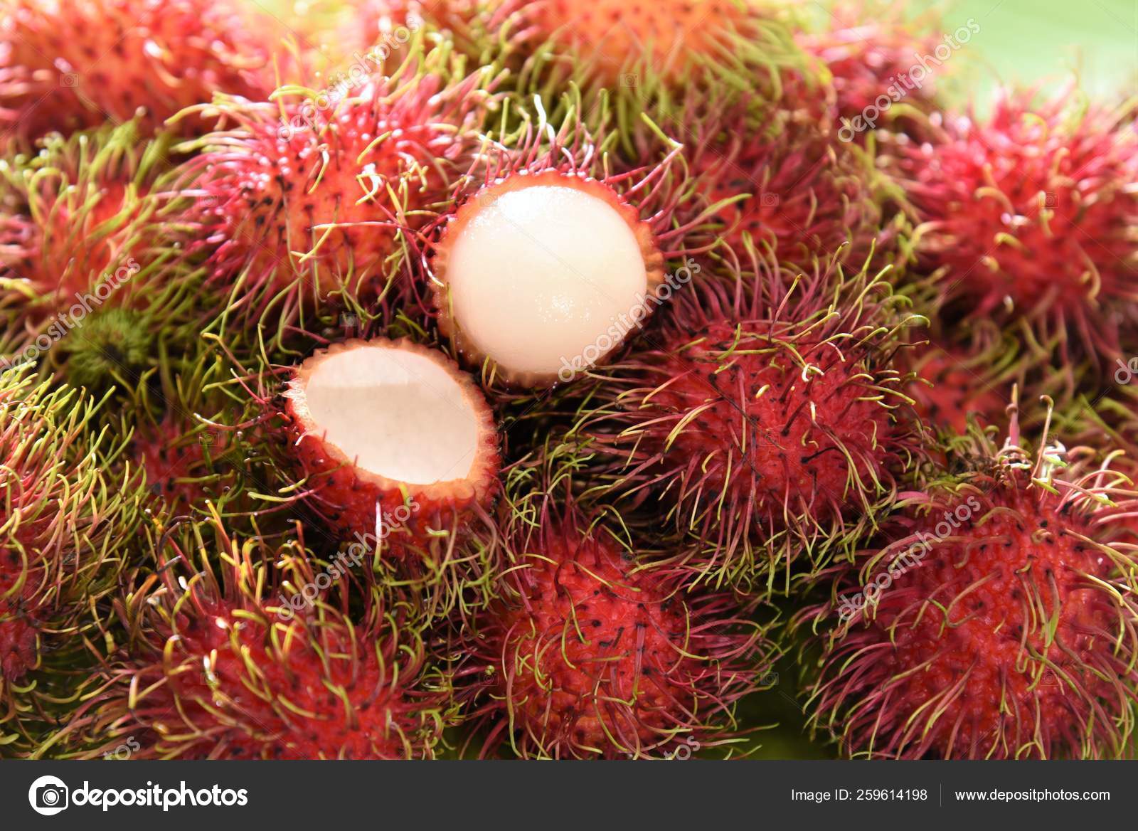 Heap Fresh Lambutan Fruit Lay Banana Leaf Stock Photo by ©srisomthavil ...