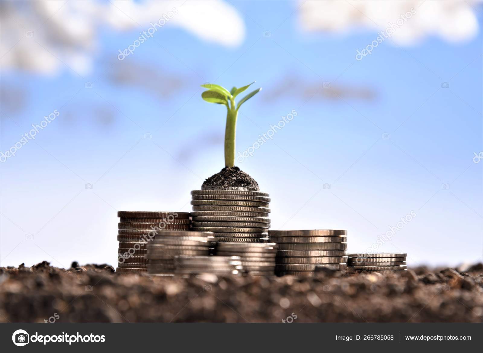 Sprout Growing Coin Stacks Cloud Sky Background Investment Concept ...