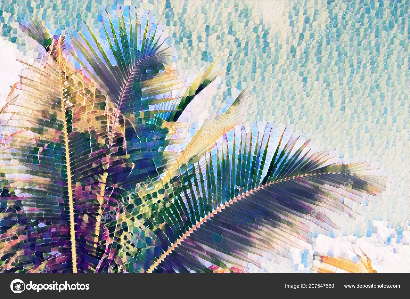 Coco Palm Tree Crown Sky Background Palm Leaf Sunset Sky Stock Photo by ...