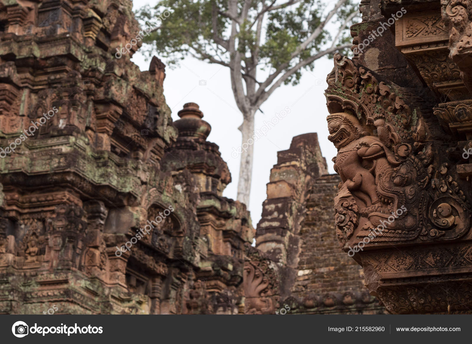 Ancient Temple Banteay Srei Tree Angkor Wat Cambodia Stone Carved ...