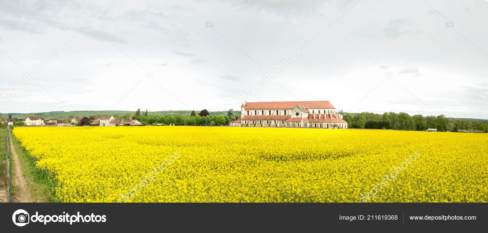 Abbey Pontigny Oilseed Rape Fields Burgundy France Stock Photo by ...