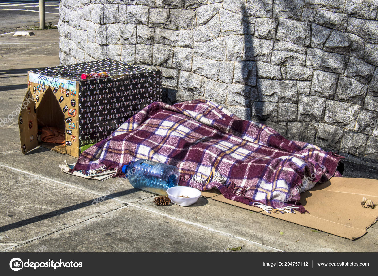 Homeless Cardboard House