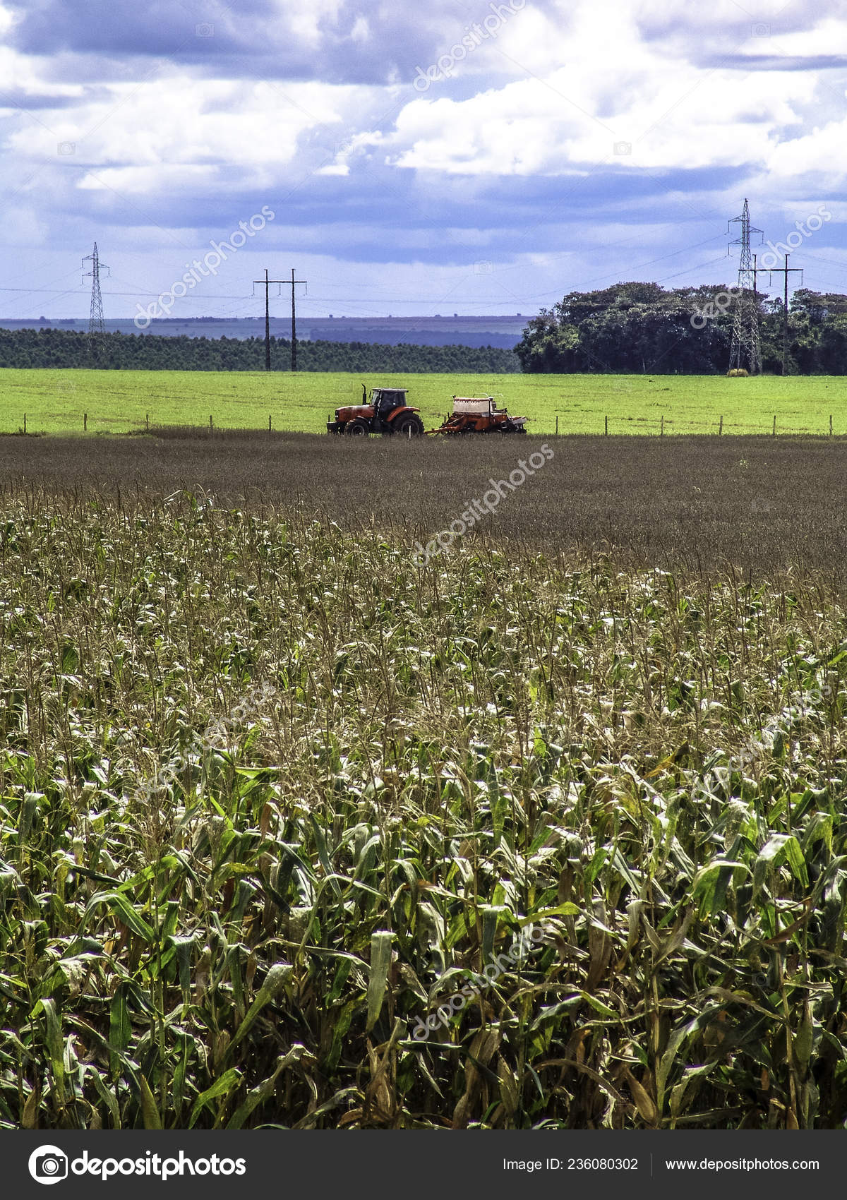 Tractor Planter Soy Corn Field Brazil — Stock Photo © alfribeiro #236080302