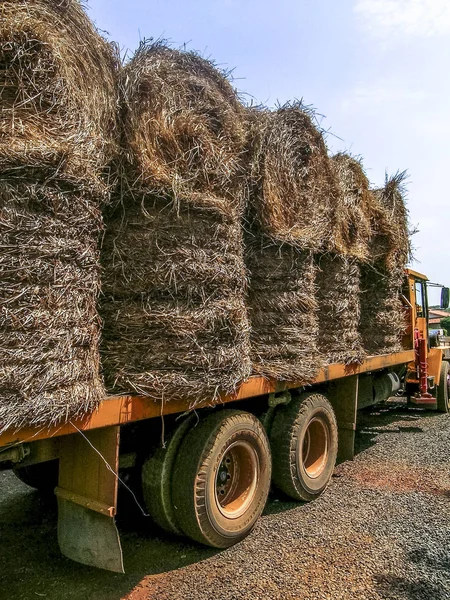 Baler hay harvest Stock Photos, Royalty Free Baler hay harvest Images ...