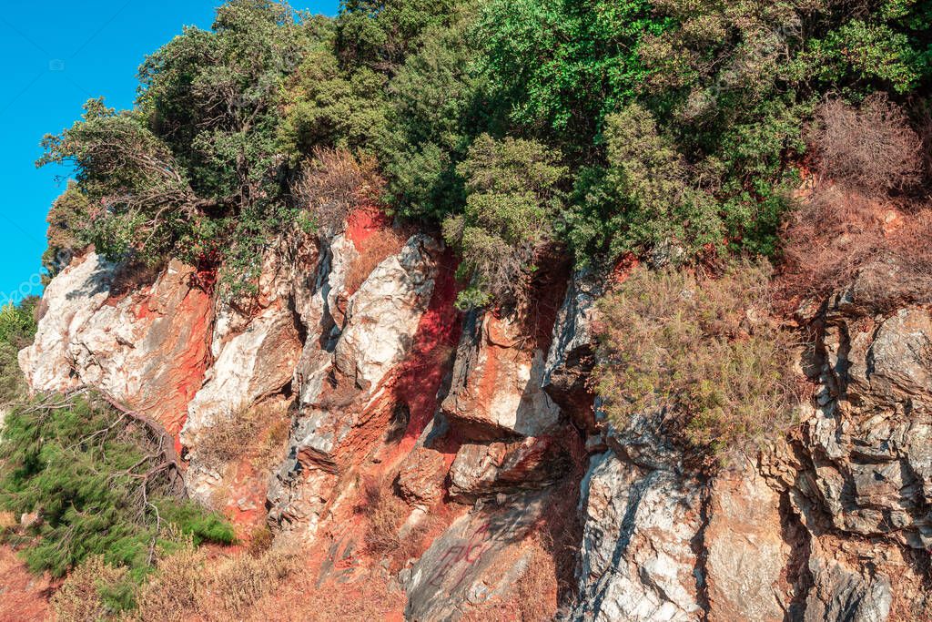 afloramiento rocoso, geología. Hermoso paisaje del bosque de montaña ...