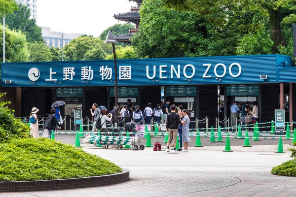 dolphins with guns —pv.